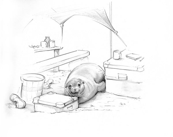 The Internet of Animals – Greystone Books Ltd.