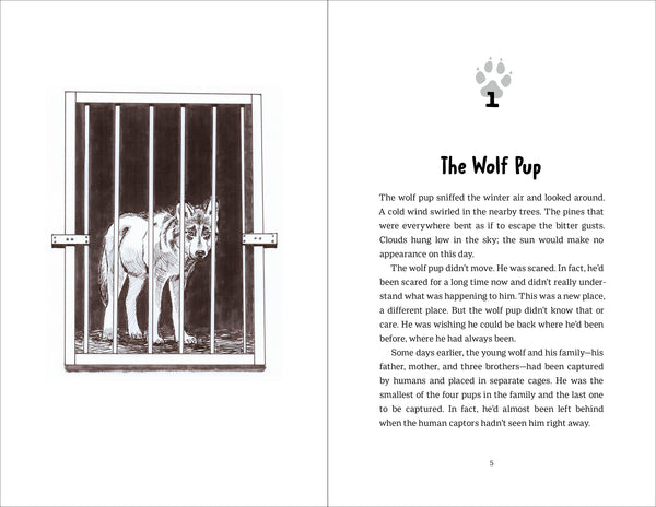 The Unlikely Hero – Greystone Books Ltd.