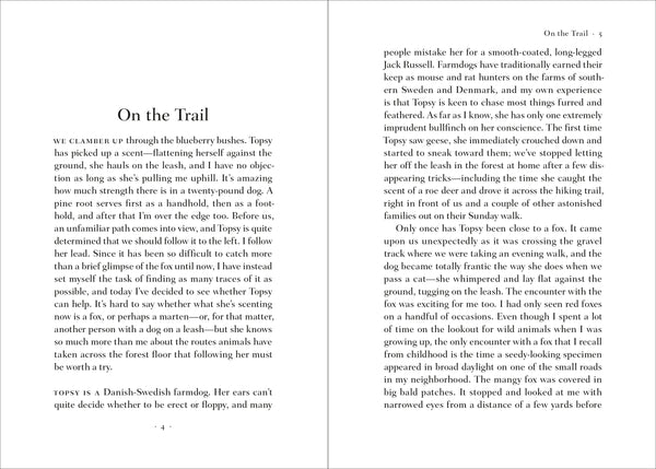 Finding the Fox – Greystone Books Ltd.