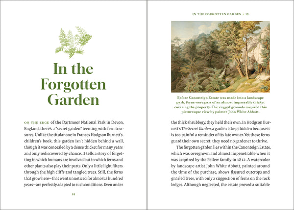 The Elegance of Ferns – Greystone Books Ltd.