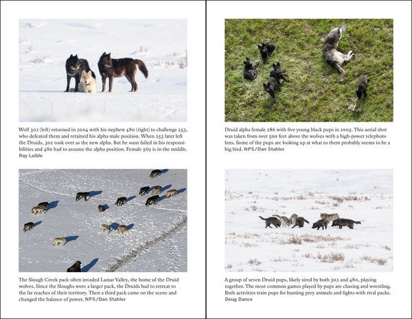 The Redemption of Wolf 302 – Greystone Books Ltd.